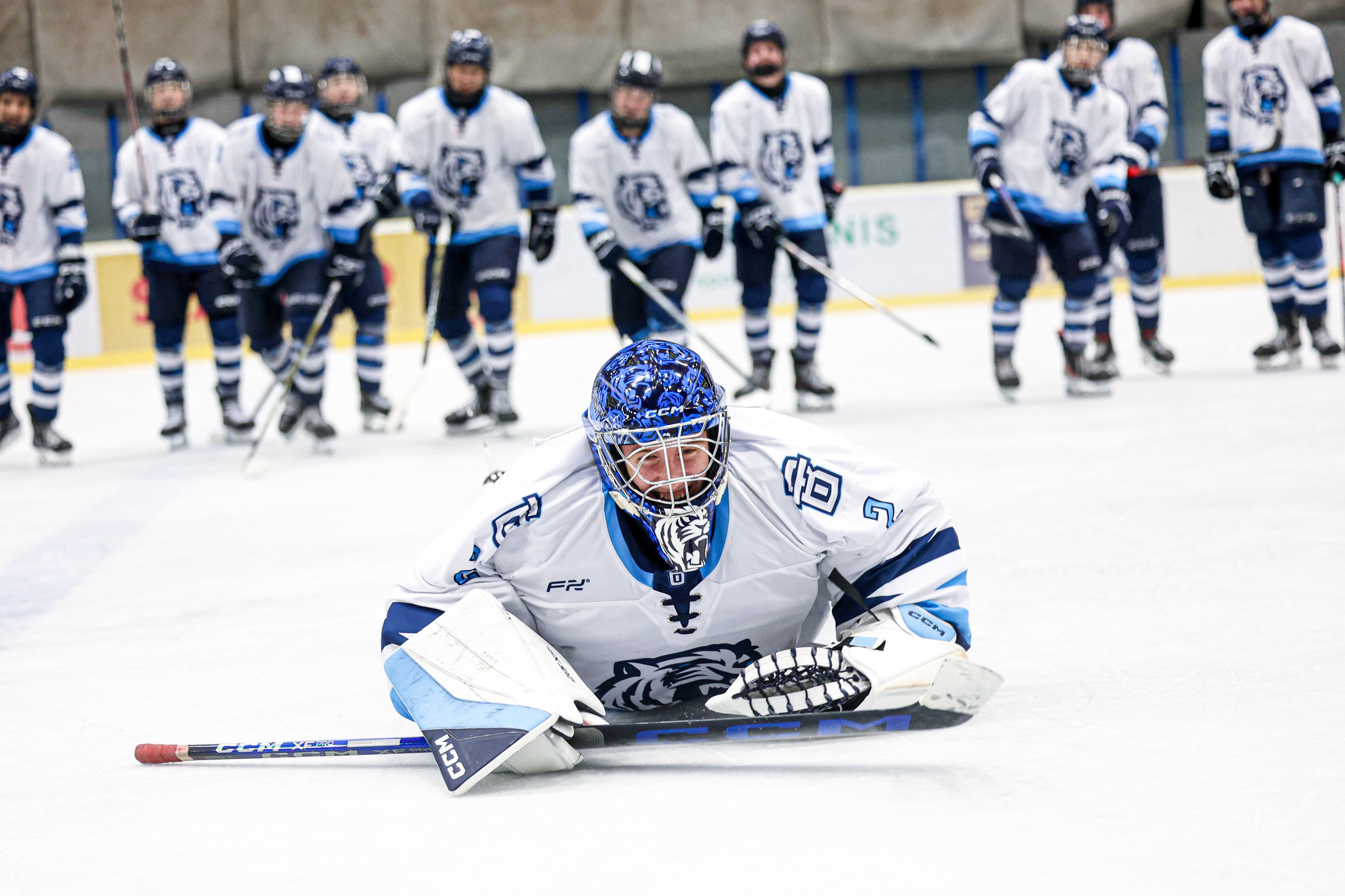 Report ze zápasu CEB vs. LIB (2:4) | Bílí Tygři Liberec