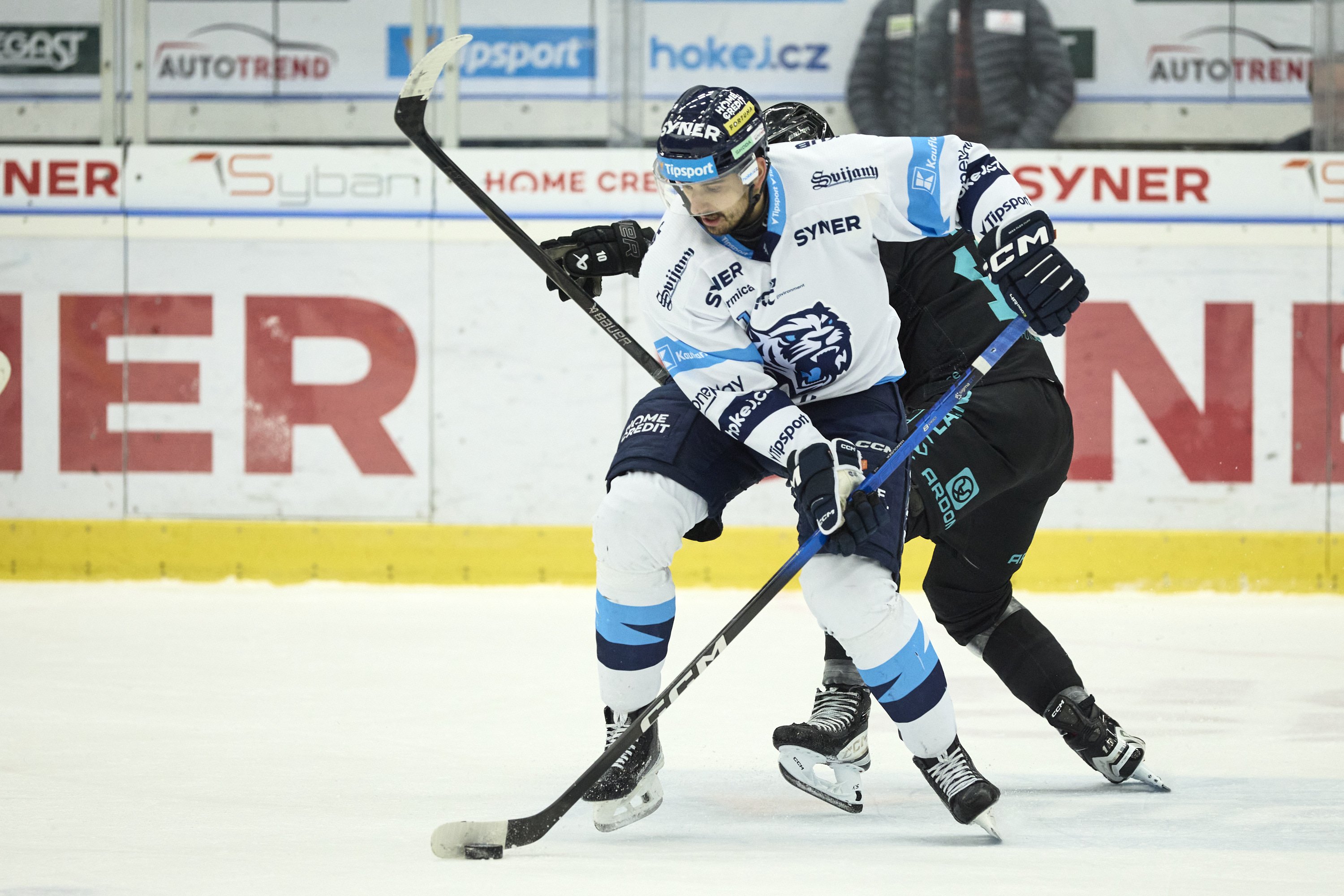 Report ze zápasu LIB vs. KVA (2:3) | Bílí Tygři Liberec