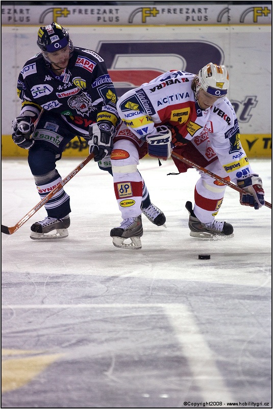 Profil hráče Igor Rataj | Bílí Tygři Liberec